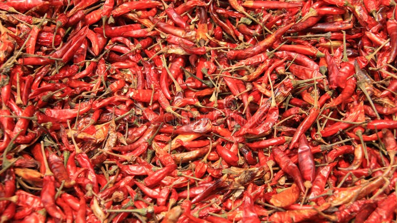 Dried Red chilli stock photo. Image of dried, place - 118327232