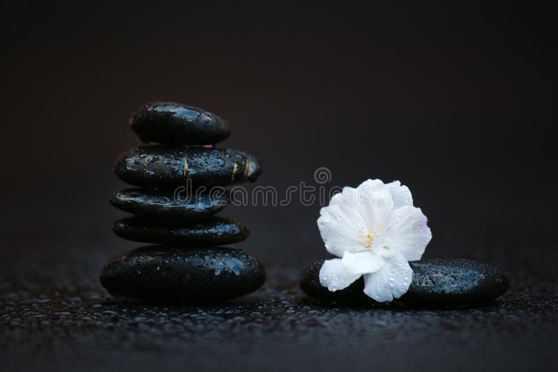 Pile of stones at sunrise stock photo. Image of ocean - 26182924