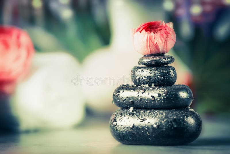 Stack of Black Hot Stones with Green Leaves at Light Blue Background ...
