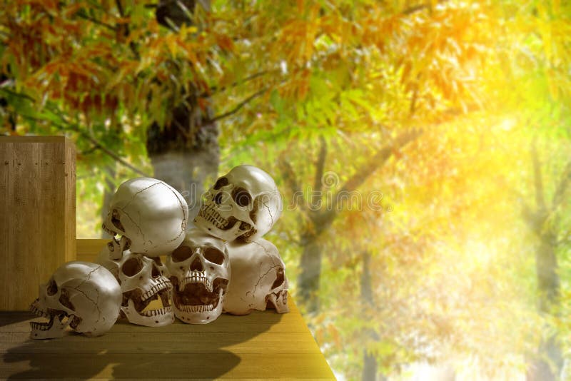 Stack of a Human Skull on the Wooden Table Stock Image - Image of dark ...