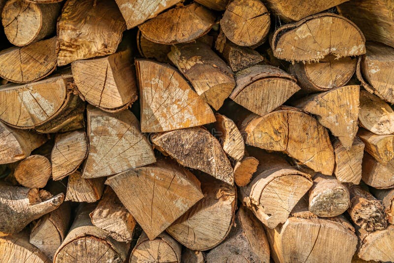 A stack of kindling stock image. Image of kindling, bark - 226961629