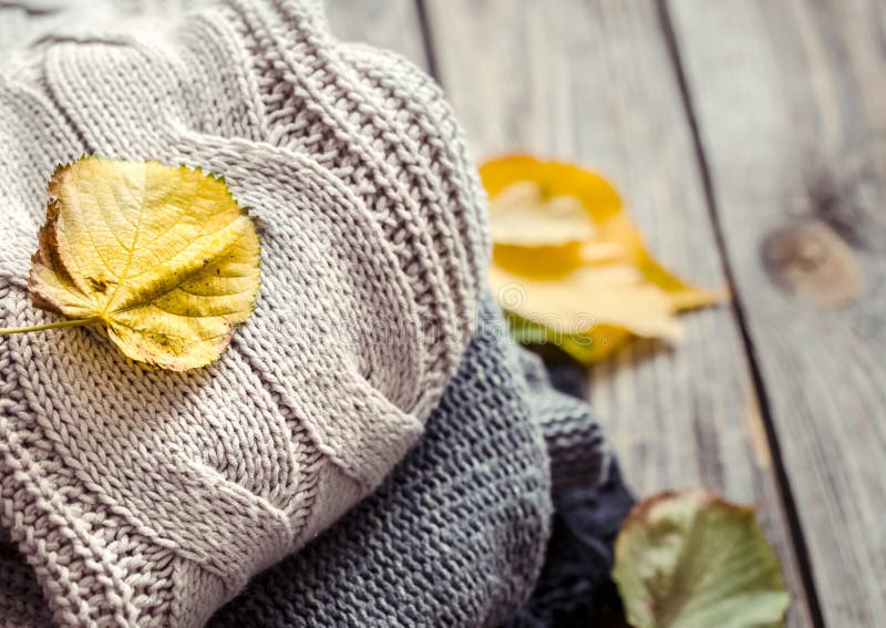A Stack of Sweaters and Autumn Leaves Stock Image - Image of knit ...
