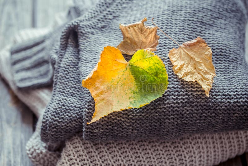 A Stack of Sweaters and Autumn Leaves Stock Image - Image of knit, cozy ...