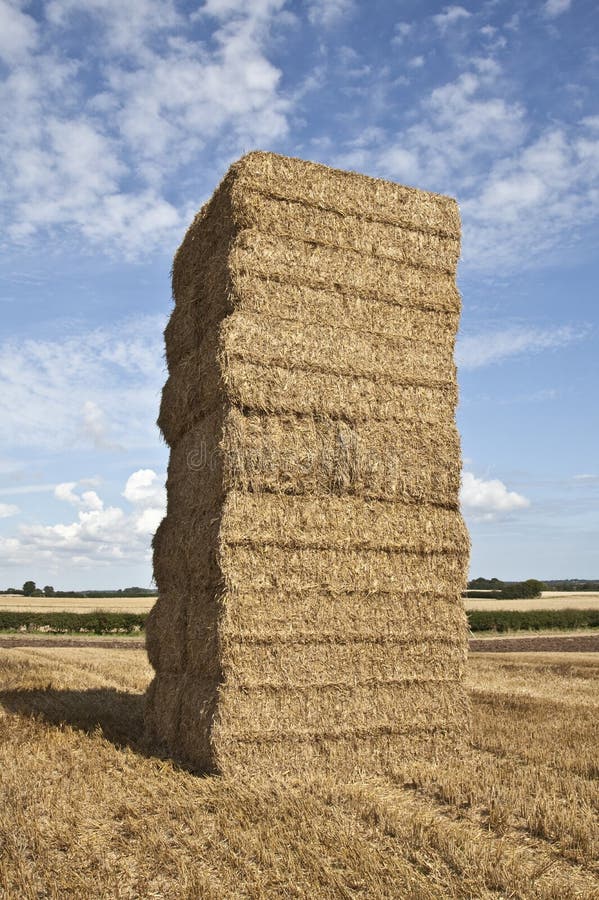 Hay Bale Stack stock photo. Image of shack, grass, pasture - 980156