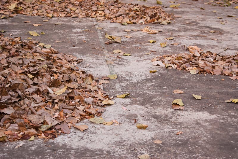 Stack of Leaf on Tennis Court Stock Image - Image of beauty, night ...