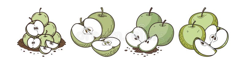 Stack of Light Green Apples and Apple Slices Illustration Stock Vector ...