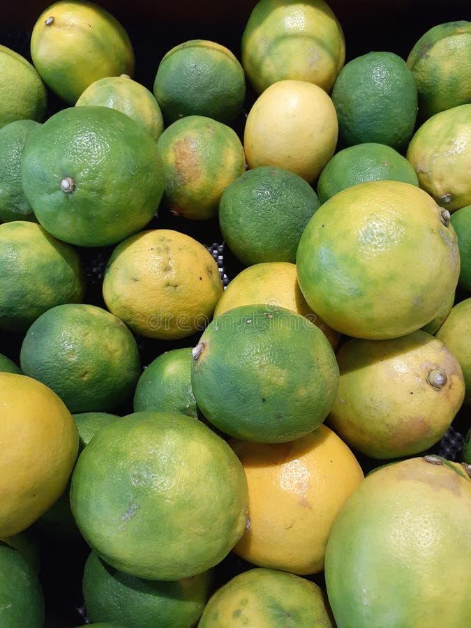Stack of local lemon stock photo. Image of pile, closeup - 192706462