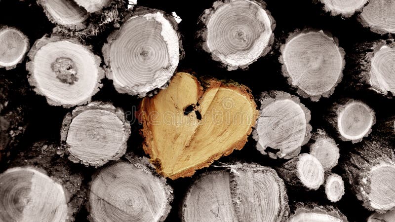 Stack Log Wood Heart Shape Stock Photos - Free & Royalty-Free Stock ...