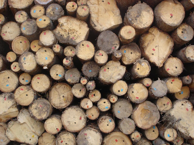 Stack of logs stock photo. Image of wood, fireplace, logging - 3845650
