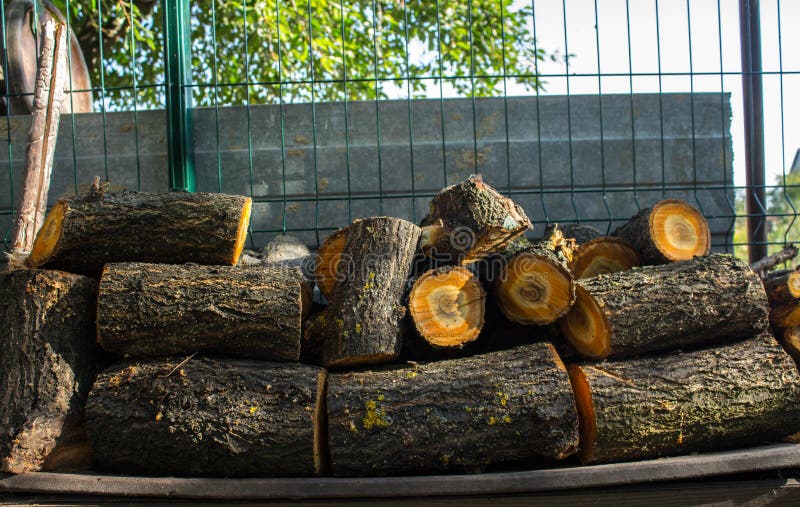 A Stack of Logs in the Backyard Stock Photo - Image of outdoor, pile ...
