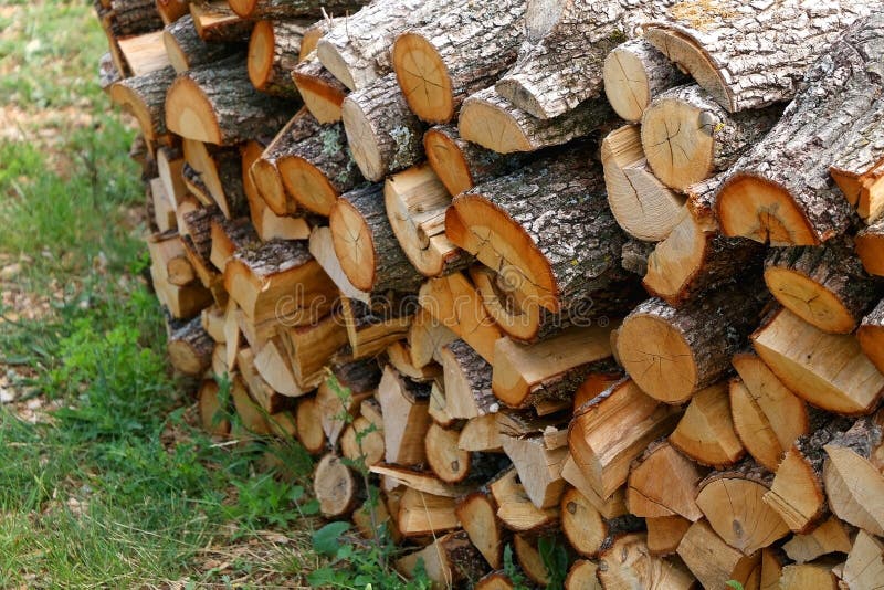 Stack of Logs stock photo. Image of energy, heap, forest - 185063166
