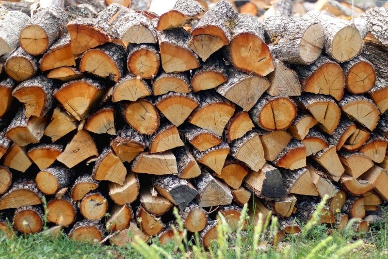 Stack of Logs stock photo. Image of energy, heap, forest - 185063166