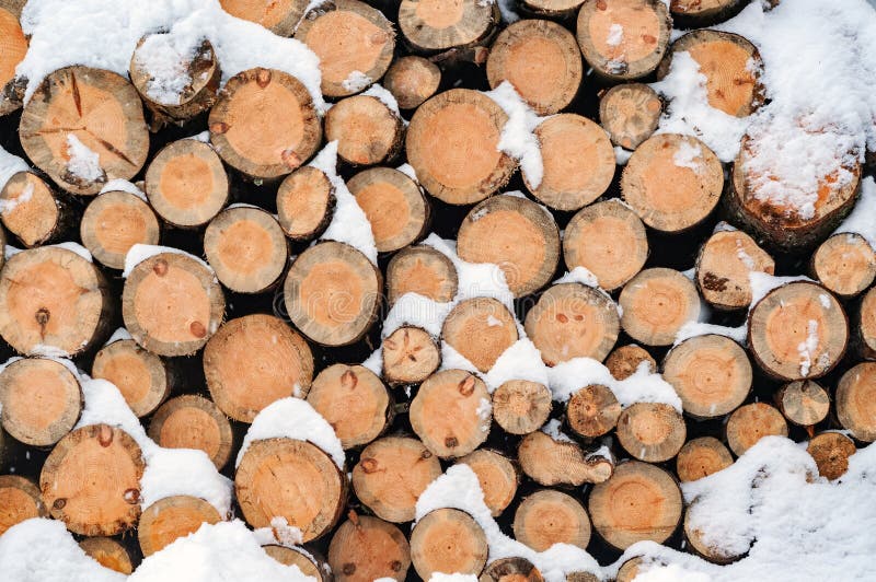 Stack of Logs Covered with Snow Close-up, Logging Stock Image - Image ...