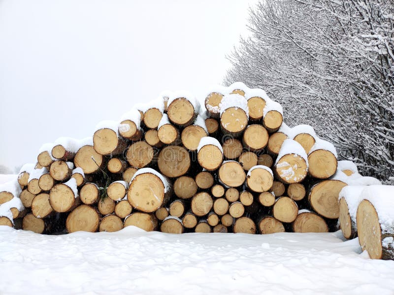 Stack of Logs in Different Sizes Artfully Piled Up in Snowy Winter ...