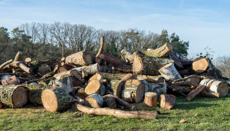 Stack of logs of firewood stock photo. Image of pile - 265788790