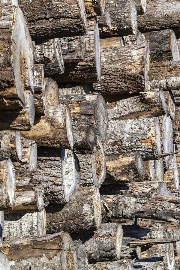 Stack of Logs during Logging Stock Photo - Image of abstract, people ...