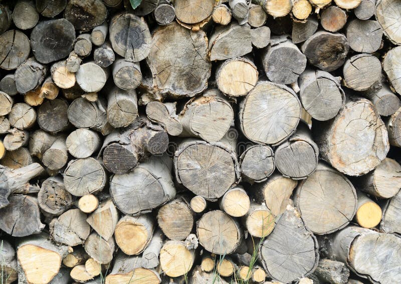 Stack of Logs. a Lot of Cuted Branches and Trunks Natural Wooden ...