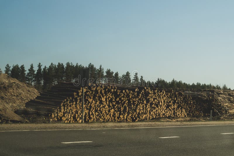 Stack of Logs Lying on the Side of the Road. Big Pile of Timber Stock ...