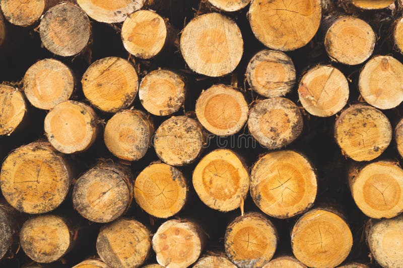 Stack of Logs. Natural Wooden Background with Timber. Log Wall Stock ...