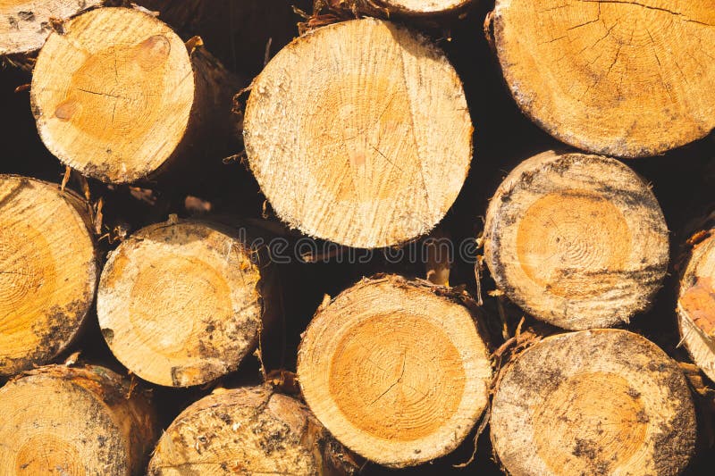 Stack of Logs. Natural Wooden Background with Timber Stock Image ...