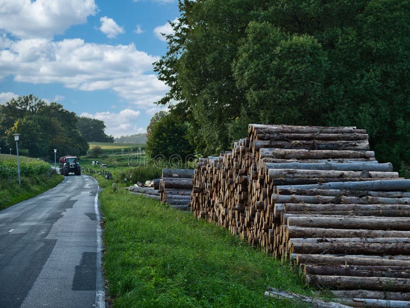 Stack of Logs Next To a Road with a Tractor Approaching in the ...