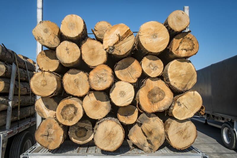 Stack of logs stock image. Image of natural, industry - 61875649