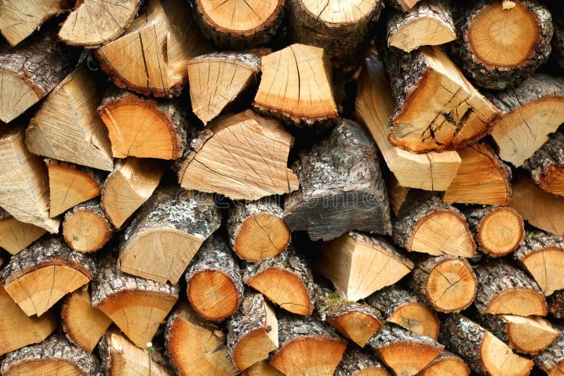 Stack of Logs stock photo. Image of fuel, neutral, burn - 185062232