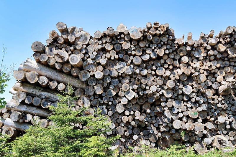 Stack of Logs Under a Clear Blue Sky Stock Image - Image of countryside ...