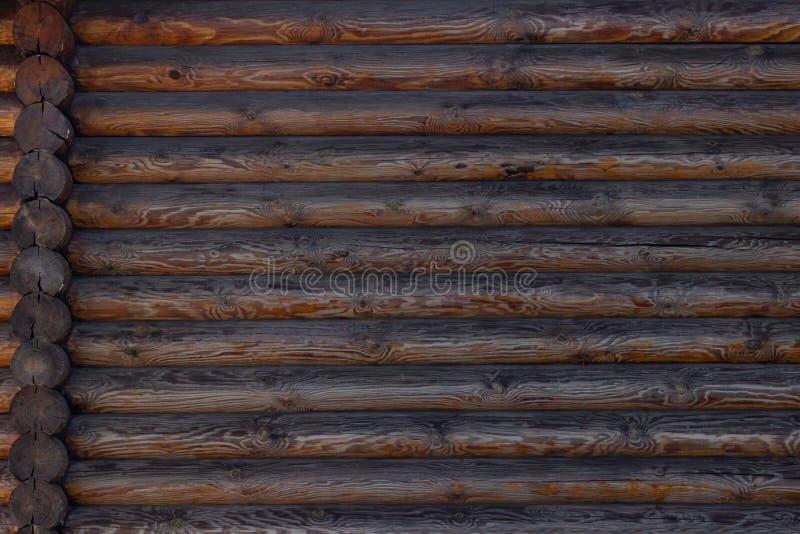 Stack of Logs. Wall from Pretty Logs with Cross-sections. Expensive ...