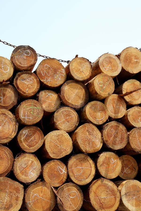Stack of logs stock photo. Image of forestry, material - 57847502
