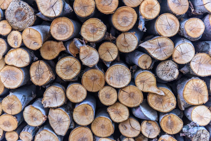 Stack of firewood stock photo. Image of circle, natural - 109313188
