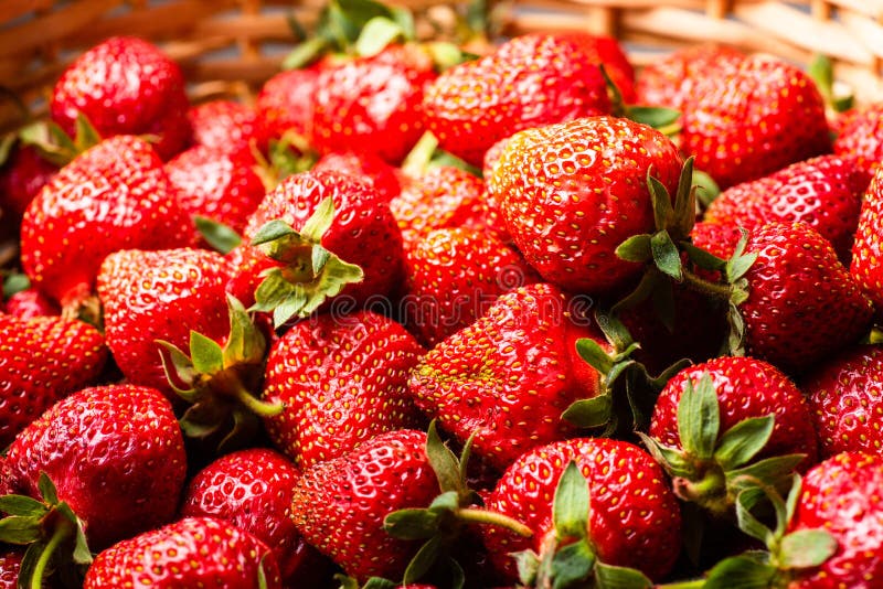 Stack of Many Fresh Strawberries Stock Photo - Image of natural, fruit ...