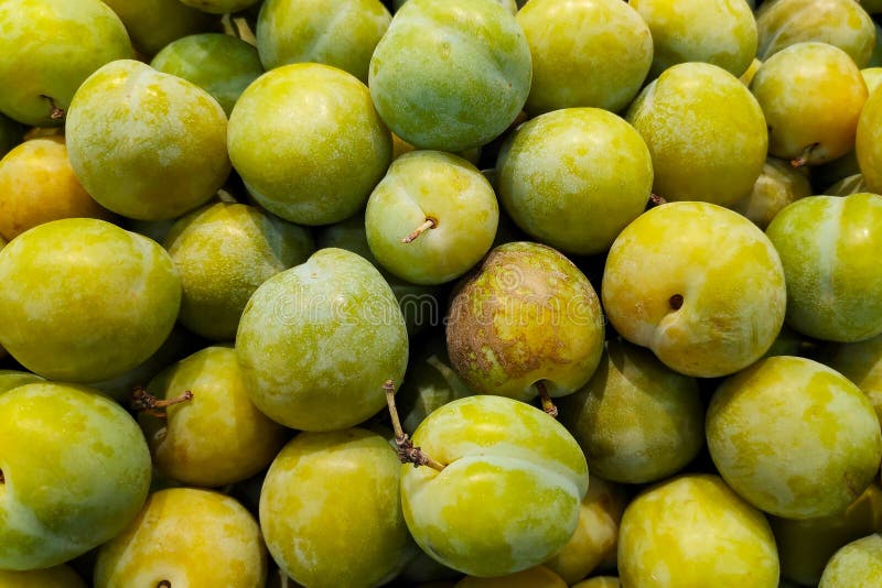 Stack of Mirabelle Plums on a Market Stall Stock Image - Image of plums ...