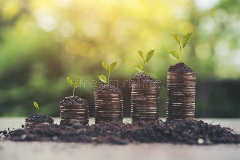 Stack of money,save money stock image. Image of finance - 163992509