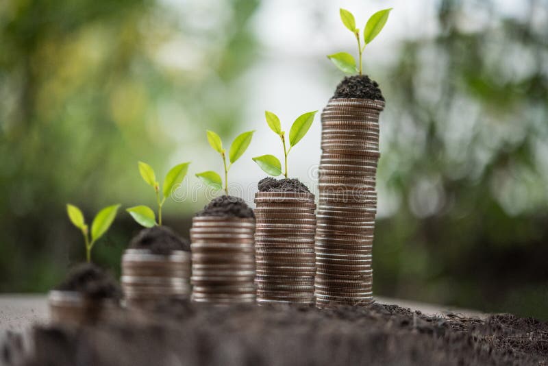Stack of money,save money stock image. Image of growing - 163992513