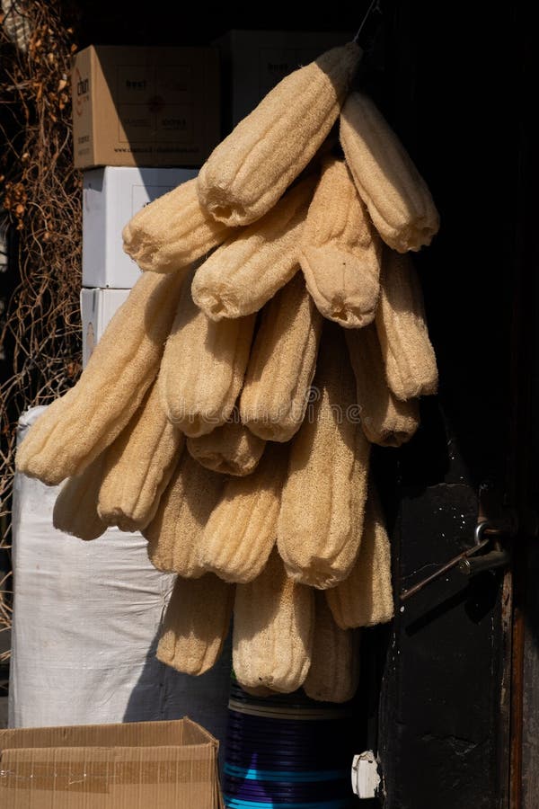 Stack of Natural Loofah Sponges Hanging Outside a Rustic Shop, with ...