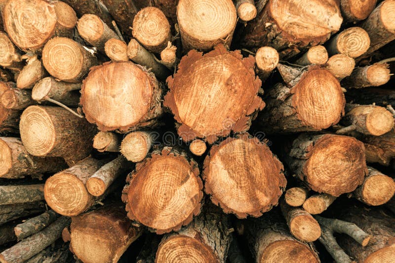 Stack of Natural Wooden Logs Background. Close Up View Stock Image ...