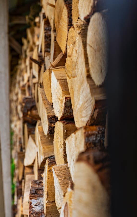 Chopped Firewood Stacked Firewood in the Yard Near the House Stock ...