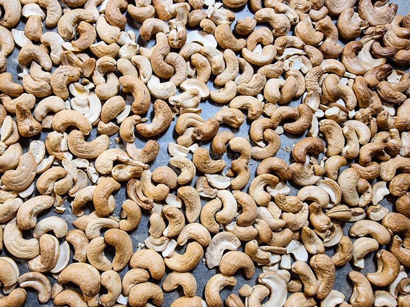 Stack of nuts stock photo. Image of blooming, flora - 250068504