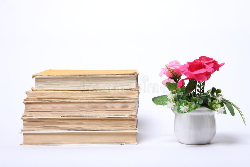 Stack of Old Books. Flowers in Pot Stock Image - Image of plant ...