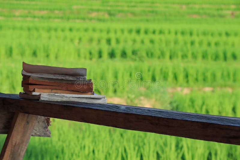 A Stack of Old Books with Old Paper Pages on Wooden Table and Beautiful ...
