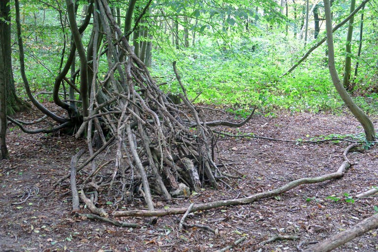 Stack of Old Branches Leaning To Make a Small Campsite in the Woods ...