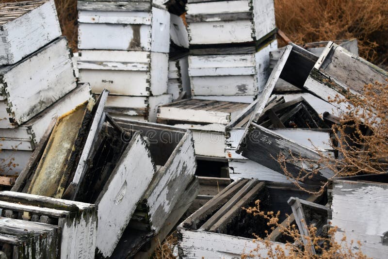 Stack of Old Broken Honey Bee Hives Stock Photo - Image of nature ...
