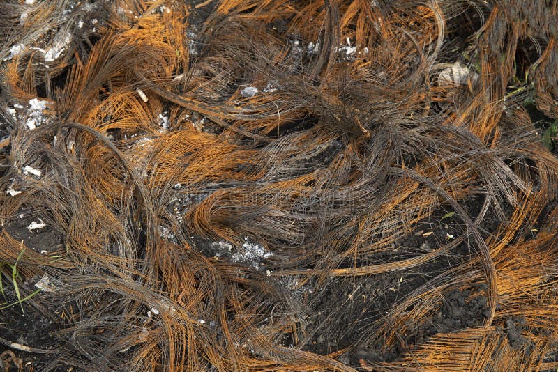 Stack of Old Rusty Metal Wire on the Dump Stock Photo - Image of ...