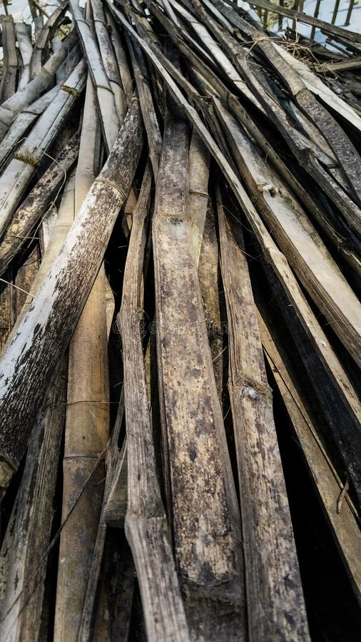 Stack of Old and Weathered Bamboo Sticks Stock Photo - Image of field ...