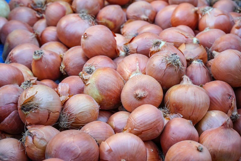 Stack of Onions on the Market Stall. Fresh Organic Onions in the ...