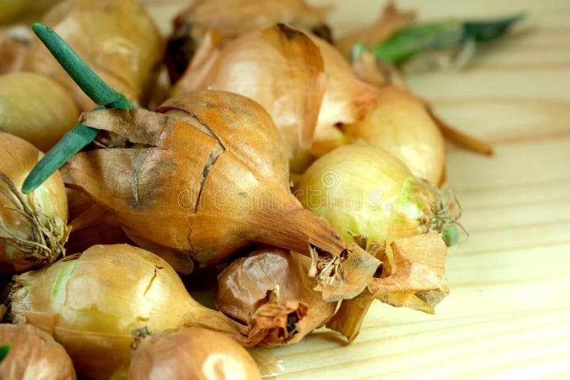 Pile of Onions on Wooden Table Stock Image - Image of aromatic, produce ...