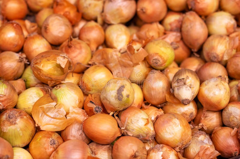 A Stack of Onions is Resting on One Another in a Pile Stock Photo ...