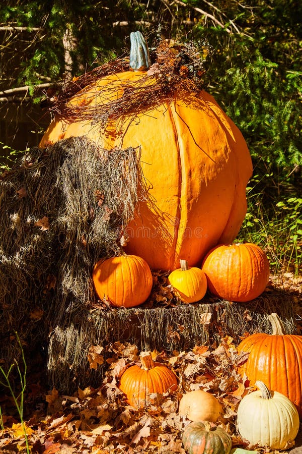 Stack of Orange Pumpkins on Bales of Hay with Fall Leaves Stock Image ...