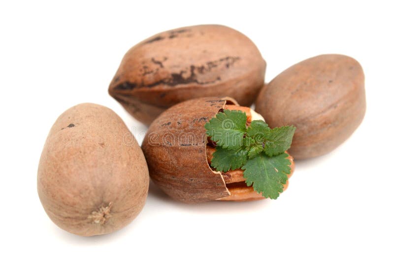 Stack of Pecan Nuts. Food, Nutshell. Stock Photo - Image of magic ...